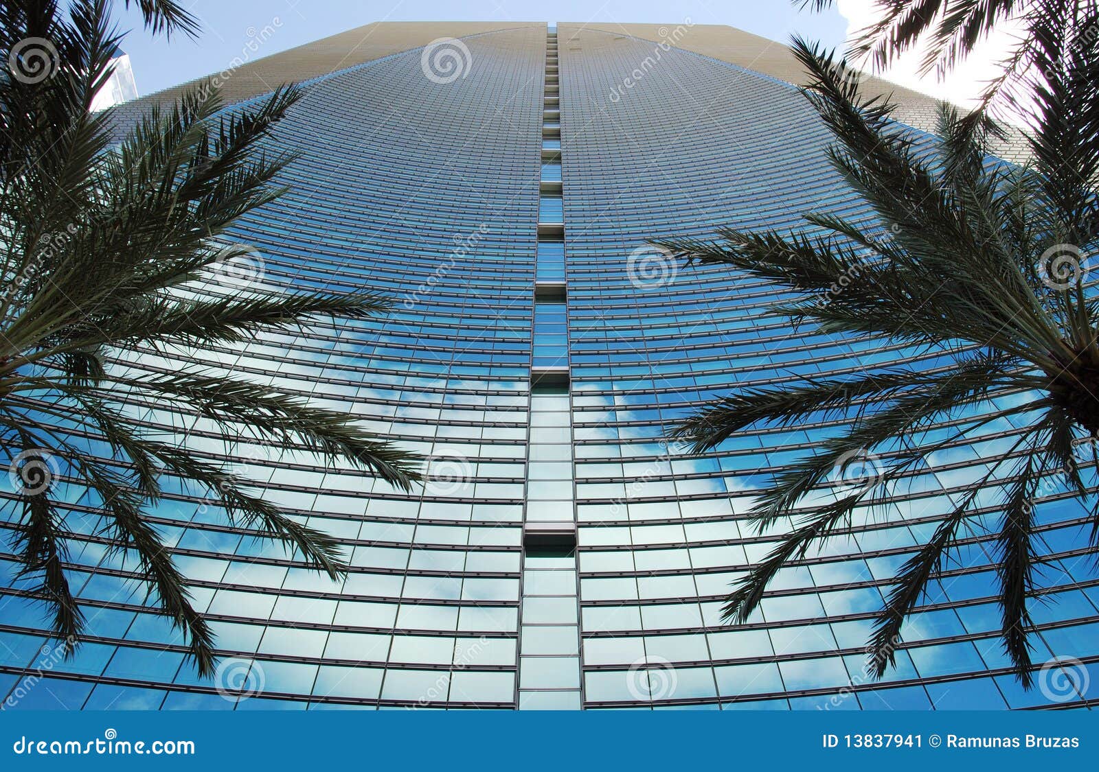 Tropical City stock image. Image of city, buildings, downtown - 13837941