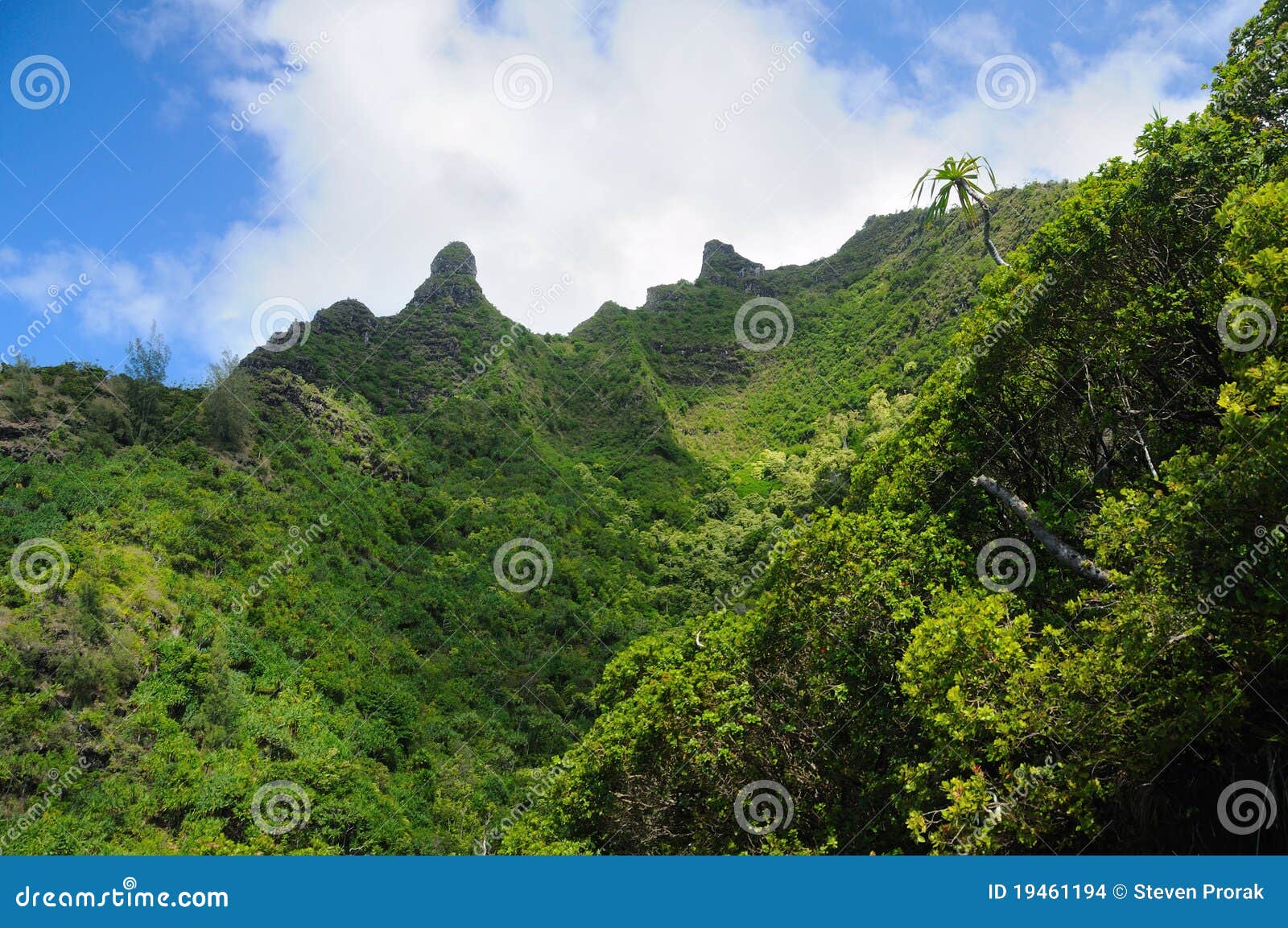 Tropical cliffs in Hawaii stock photo. Image of hawaii - 19461194