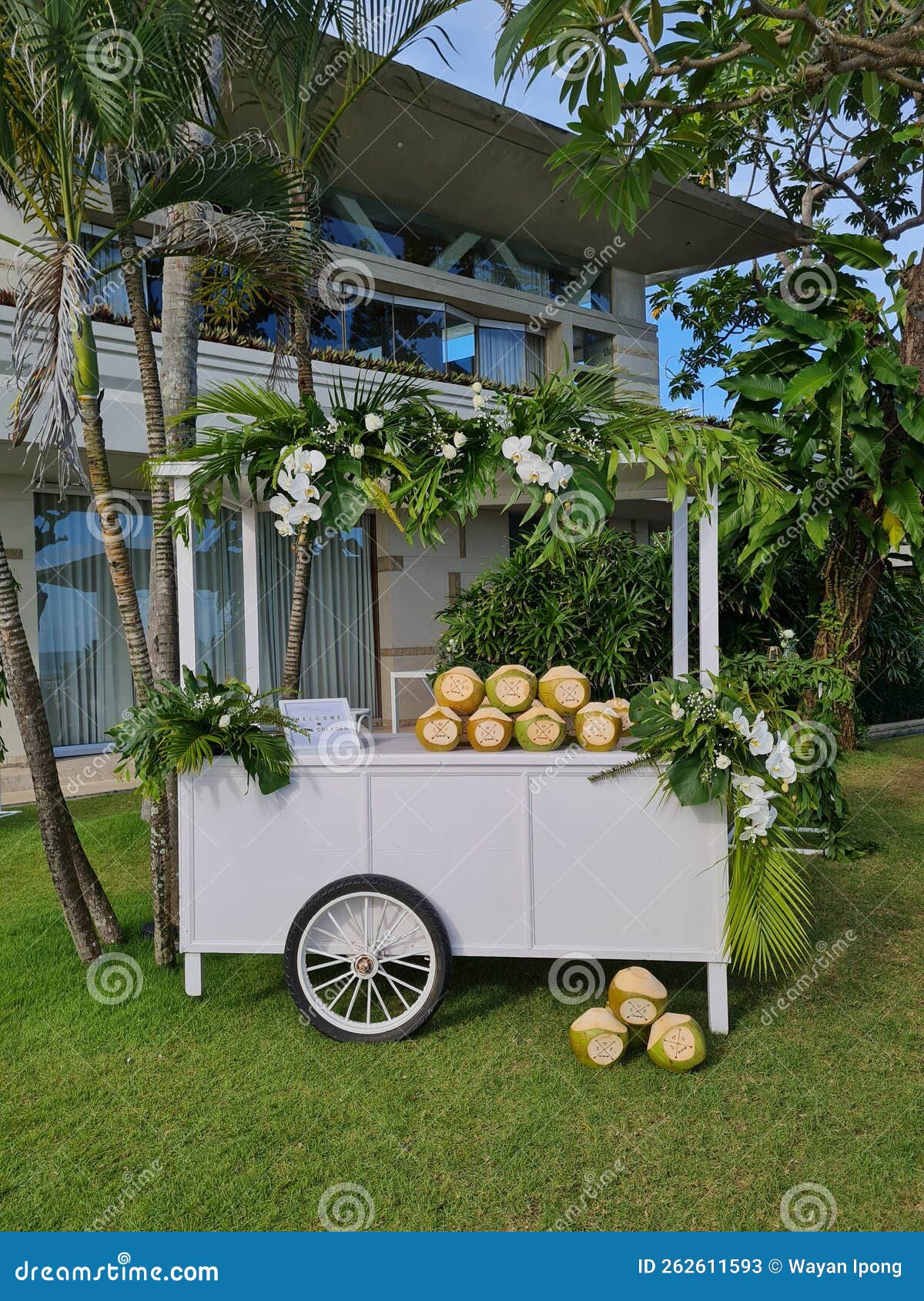 Tropical Coco loco cart editorial stock photo. Image of cart - 262611593