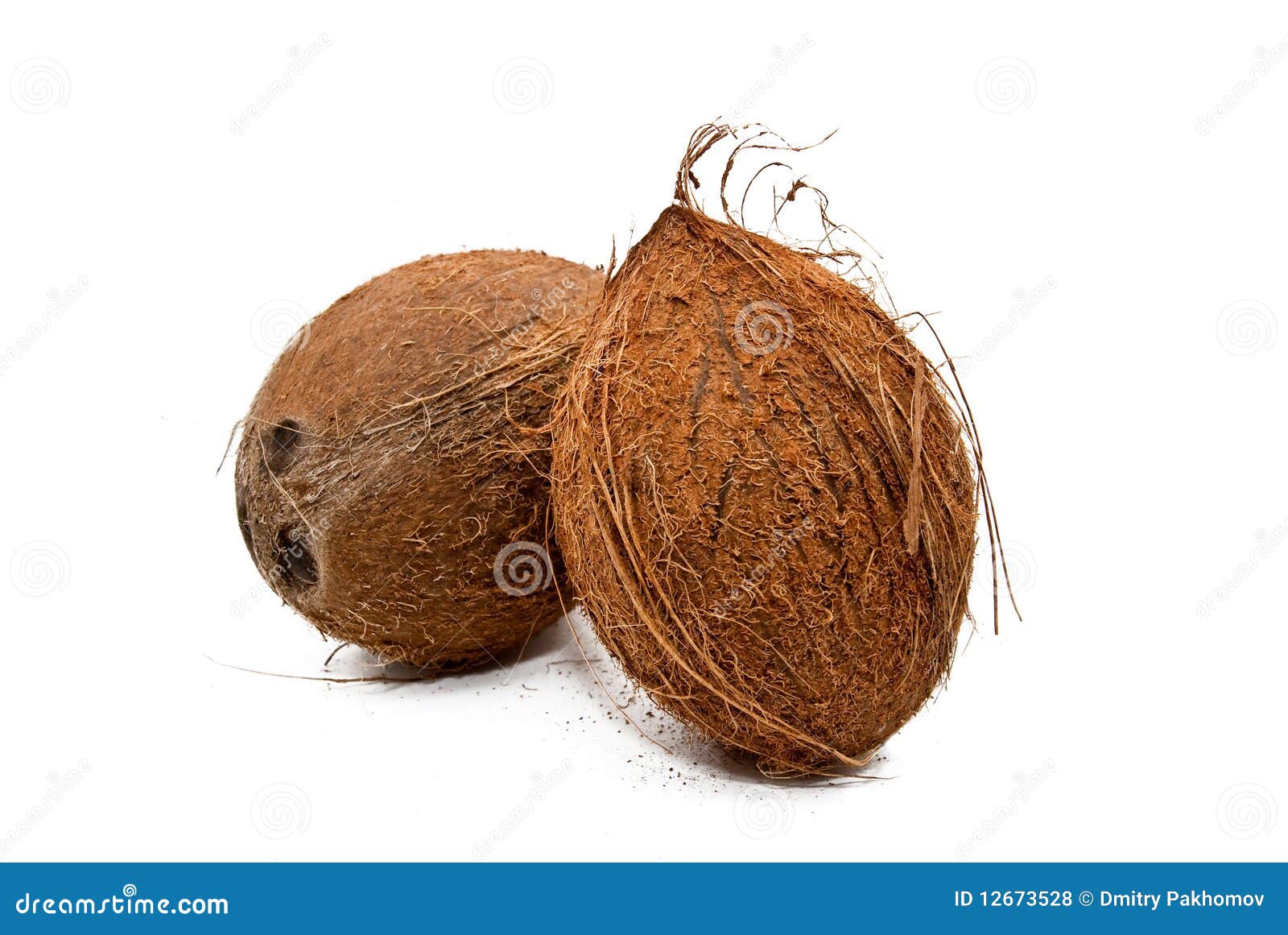 Tropical coconut stock photo. Image of milk, cracked - 12673528
