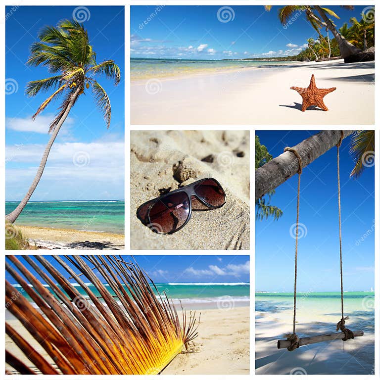 Tropical collage stock image. Image of landscape, republic - 18889393