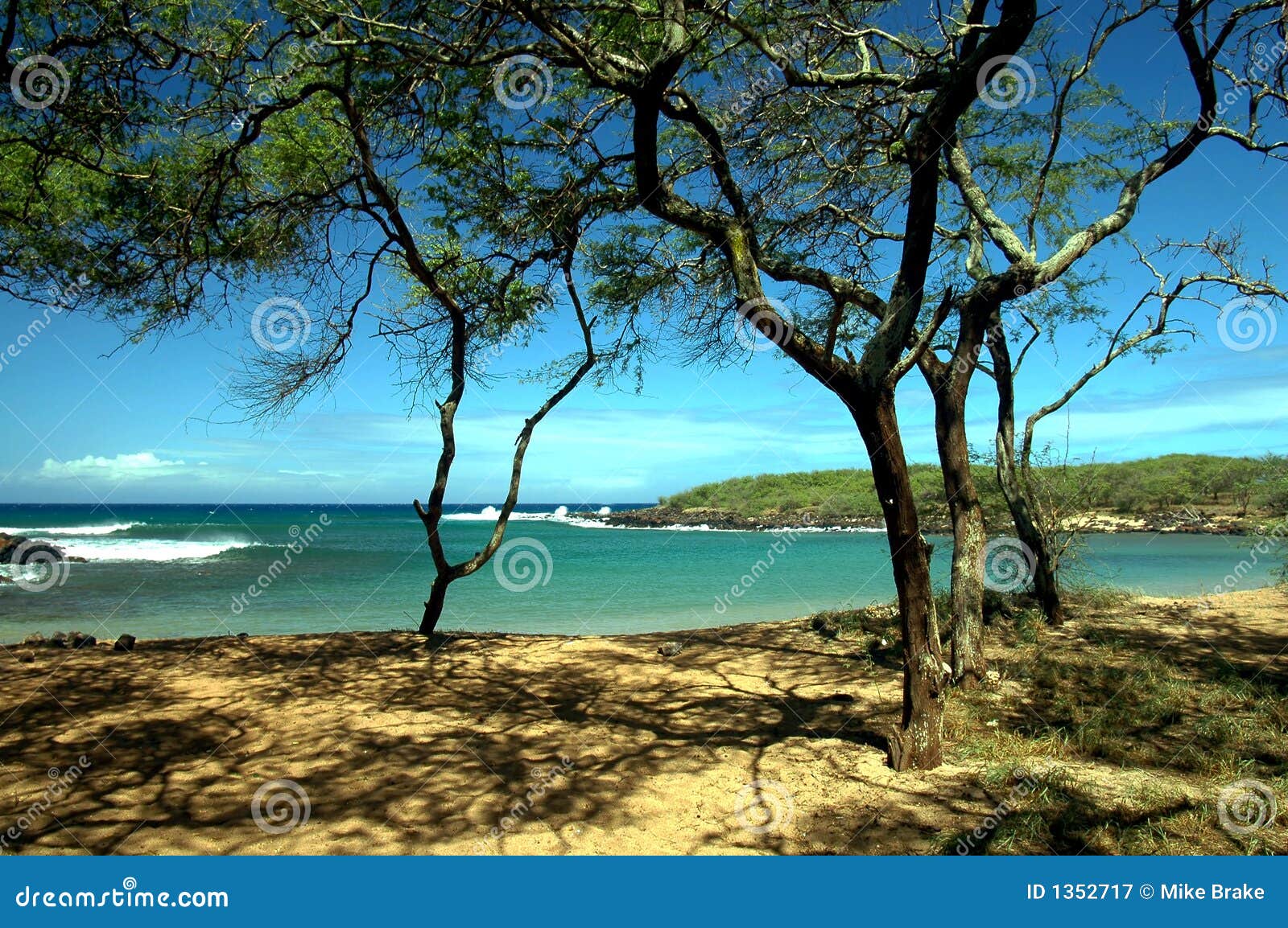 Tropical Cove stock image. Image of water, coast, hawaii - 1352717