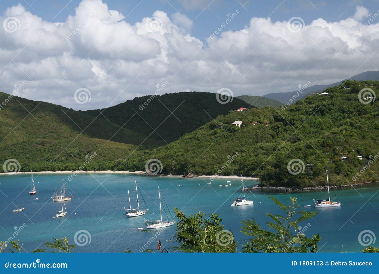 Tropical Cove stock image. Image of cove, warm, tropical - 1809153