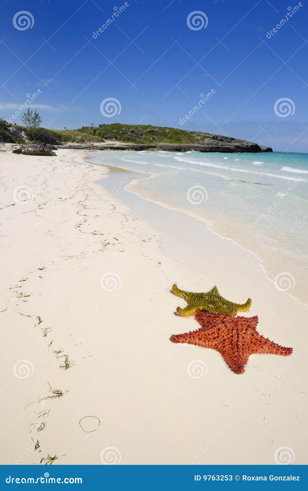 Cuban Beach Scene Royalty-Free Stock Photo | CartoonDealer.com #87305919