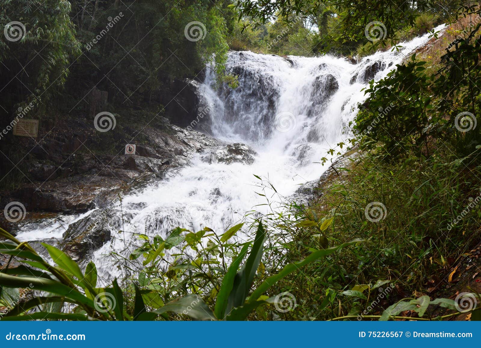 Tropical Datanla Waterfall in the Forest, Dalat, Vietnam Stock Image ...