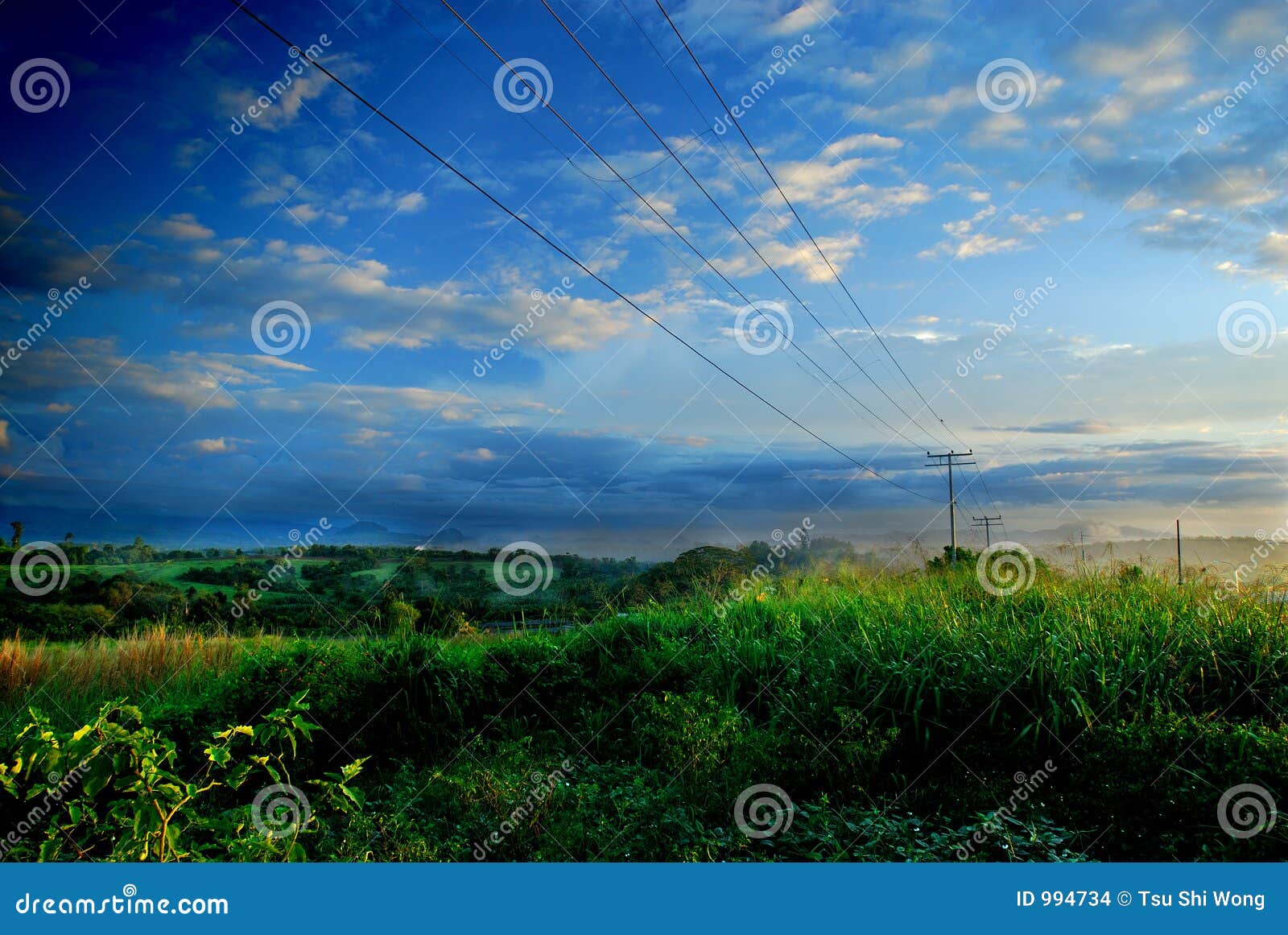 Tropical day break stock photo. Image of bright, line, power - 994734