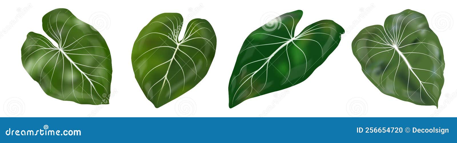 Tropical Decor Leaves Set Isolated on White Background. Stock Vector ...