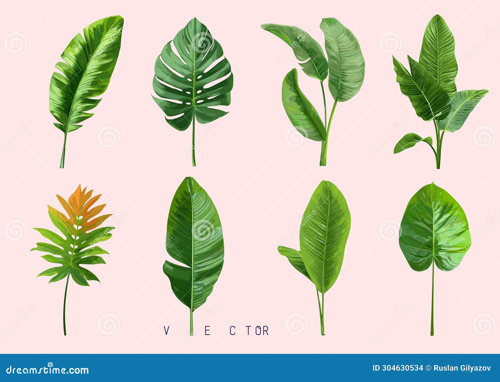 Tropical Different Type Exotic Leaves Set. Jungle Plants Stock ...