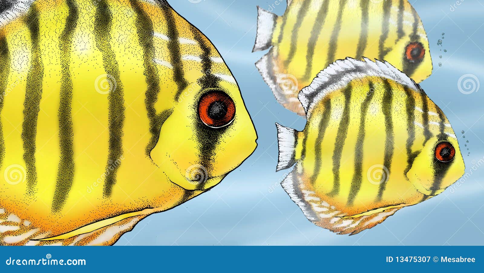 Tropical Discus Fish Coloring Page For Children Stock Vector ...