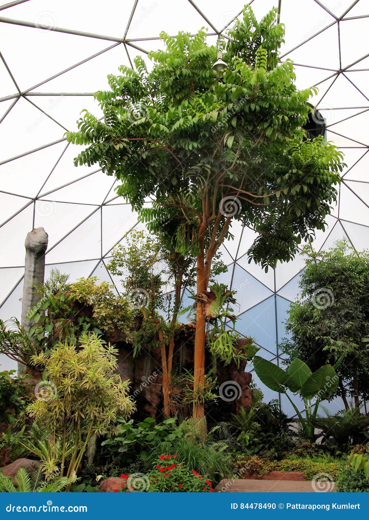 Tropical dome in Thailand stock photo. Image of tropical - 84478490