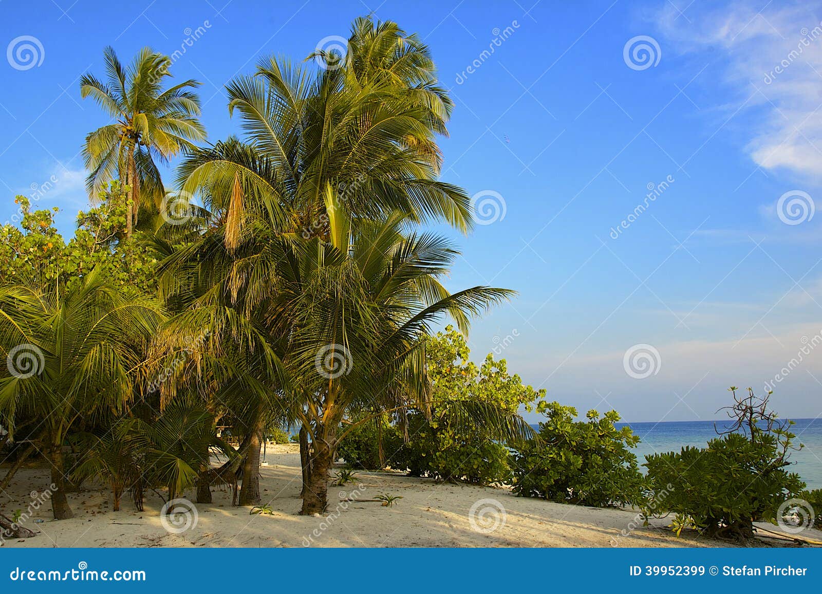 Tropical dream beach stock image. Image of paradise, tropics - 39952399
