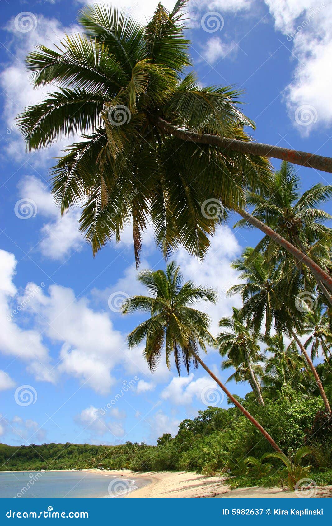 Tropical Dream Beach Paradise Stock Image - Image of cumulus, freshness ...
