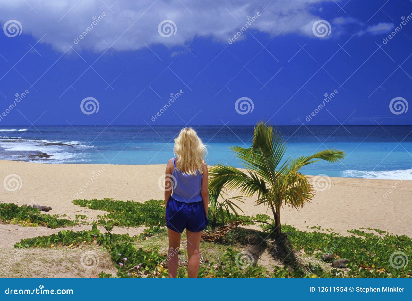 Tropical Dreams stock photo. Image of beachcombing, coastline - 12611954