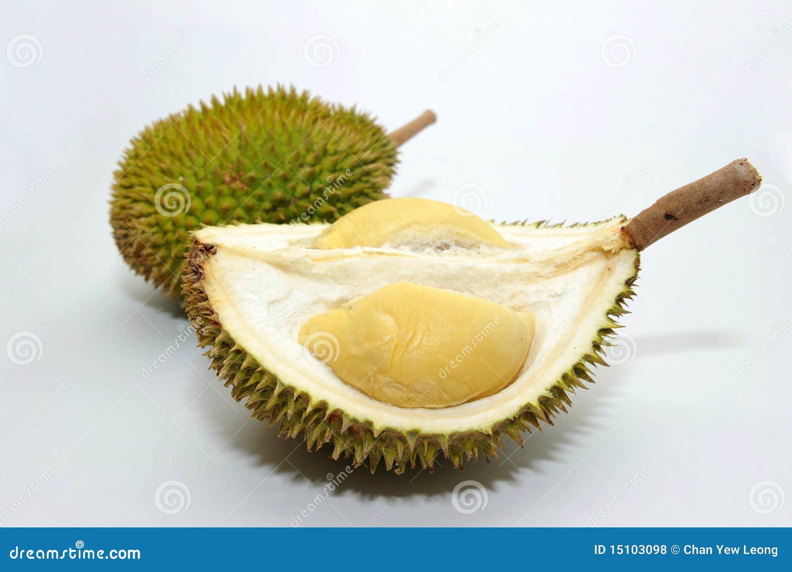 Tropical Durian fruit stock photo. Image of light, food - 15103098