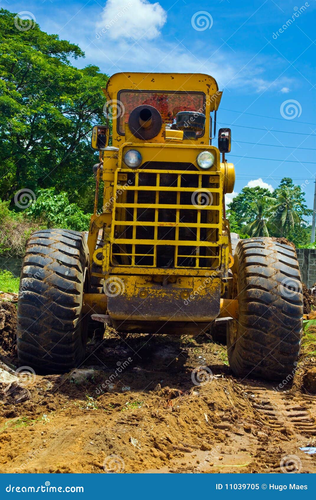 Tropical earthmover stock image. Image of flattening - 11039705