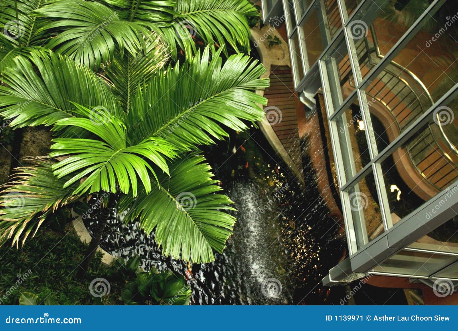 Tropical Environment stock image. Image of mall, botanical - 1139971