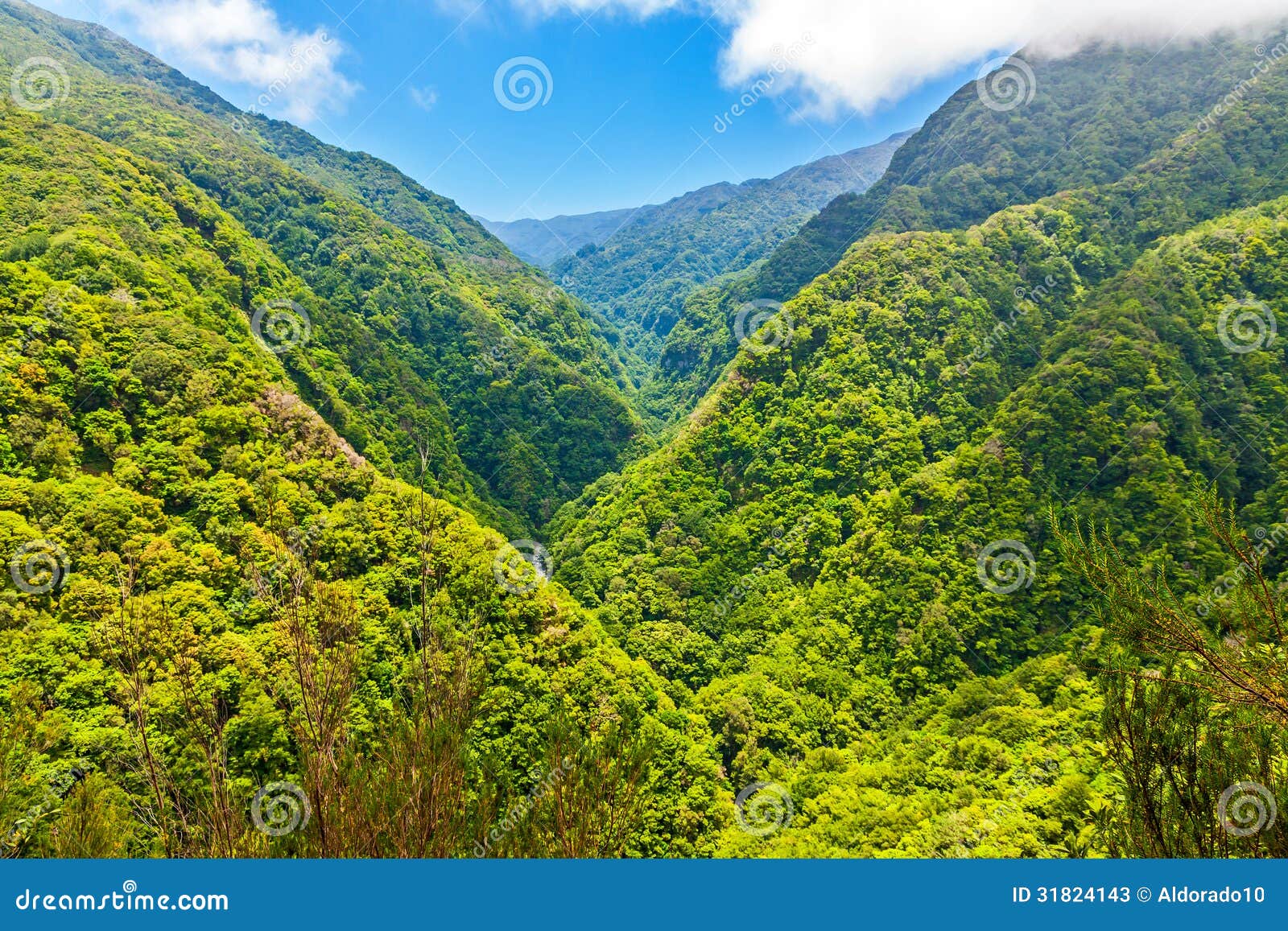 Tropical environment stock image. Image of blue, hike - 31824143