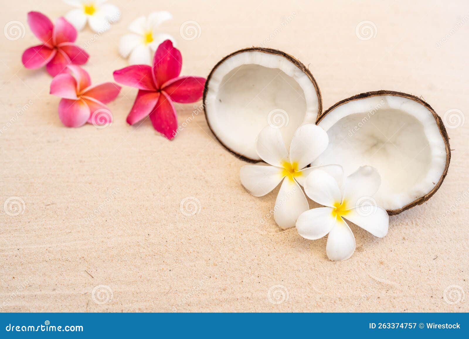 Tropical Exotic Background with Coconuts and Plumeria Flowers for ...