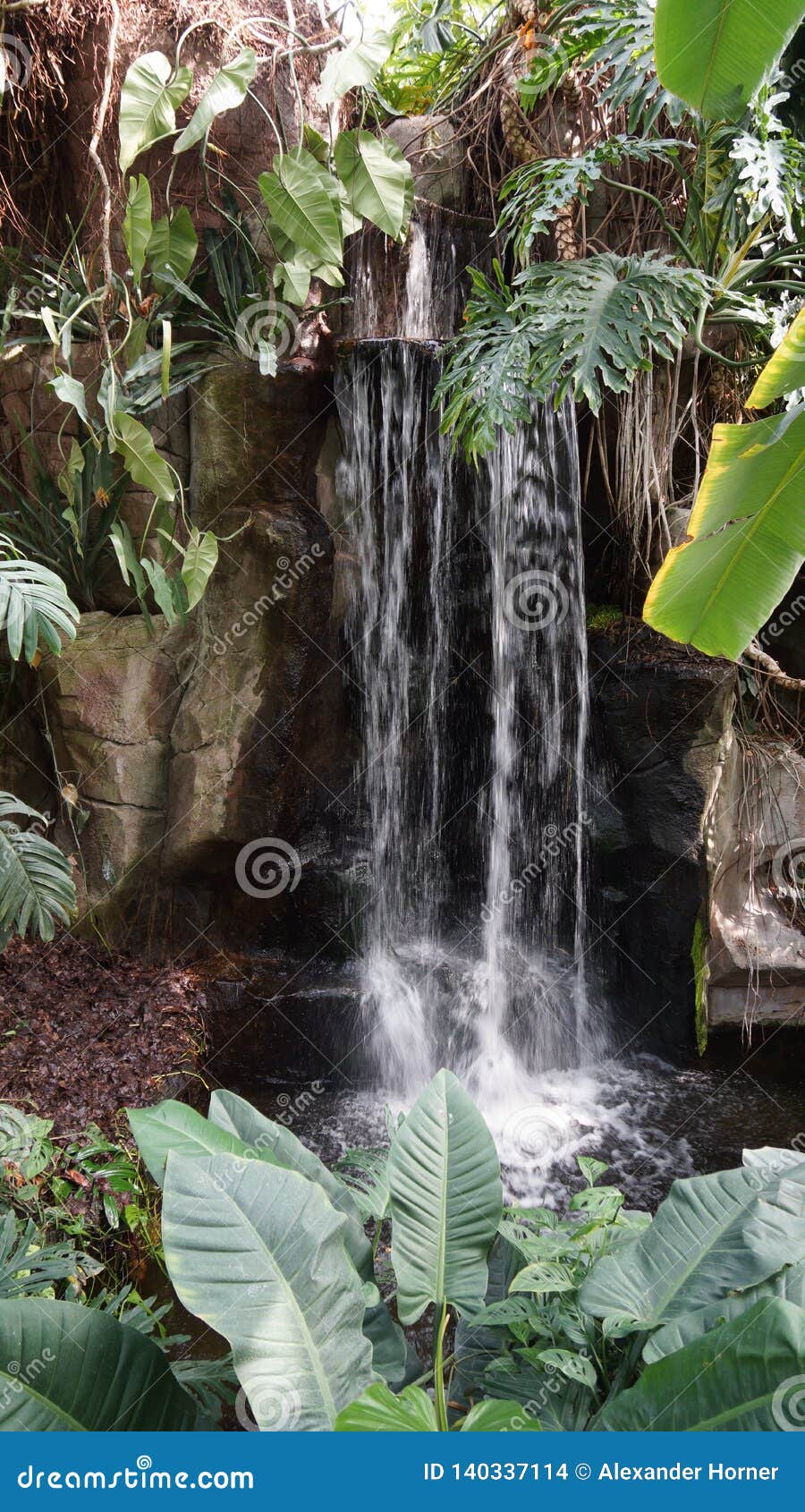 Tropical Exotic Waterfall with Plants Around Stock Photo - Image of ...