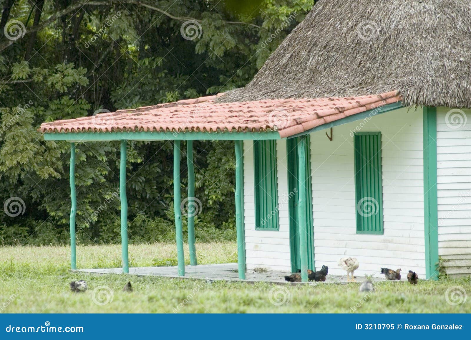 Tropical farm house stock image. Image of rural, barn - 3210795