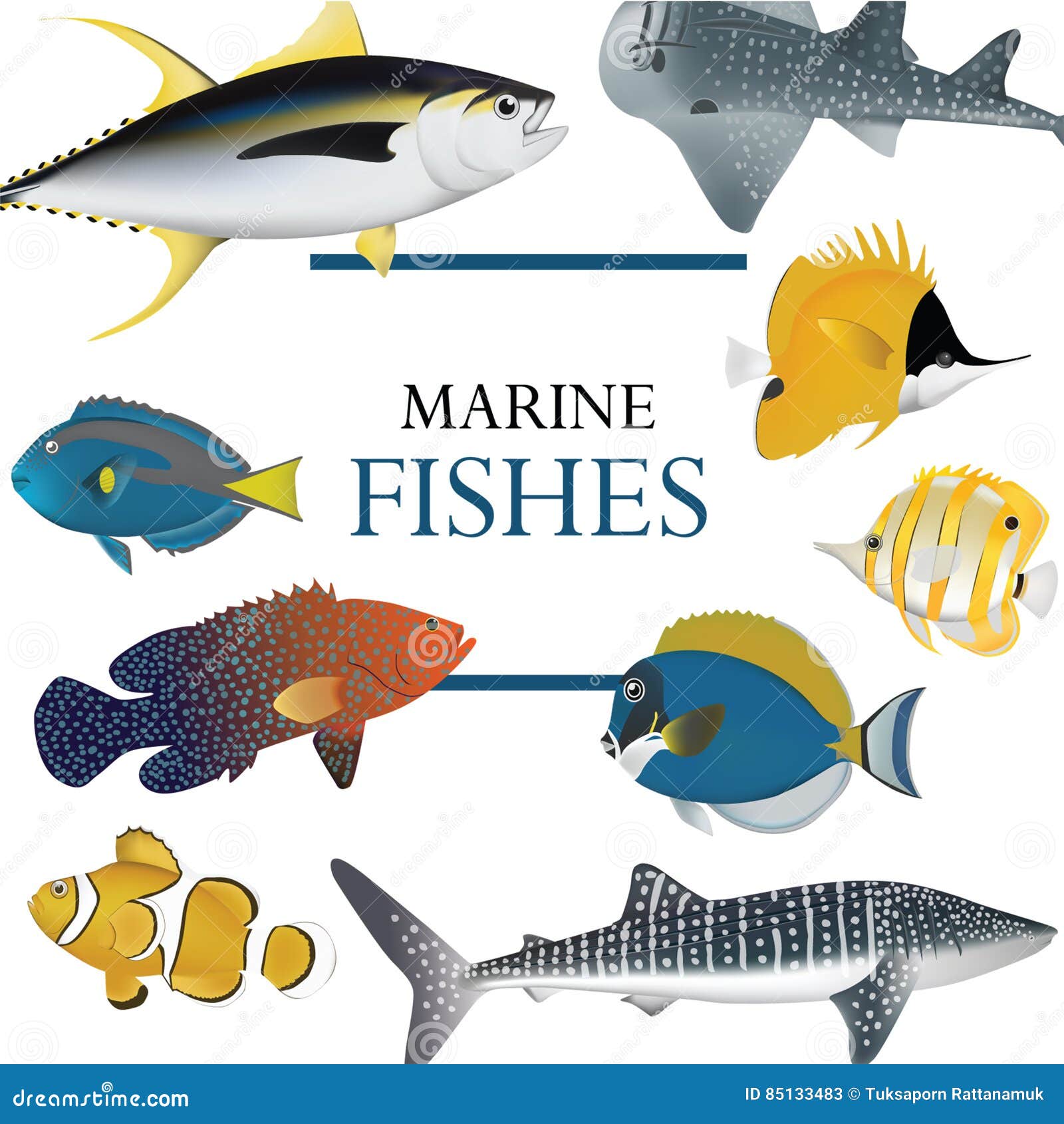 Tropical Fish Collection Marine Stock Vector - Illustration of salt ...