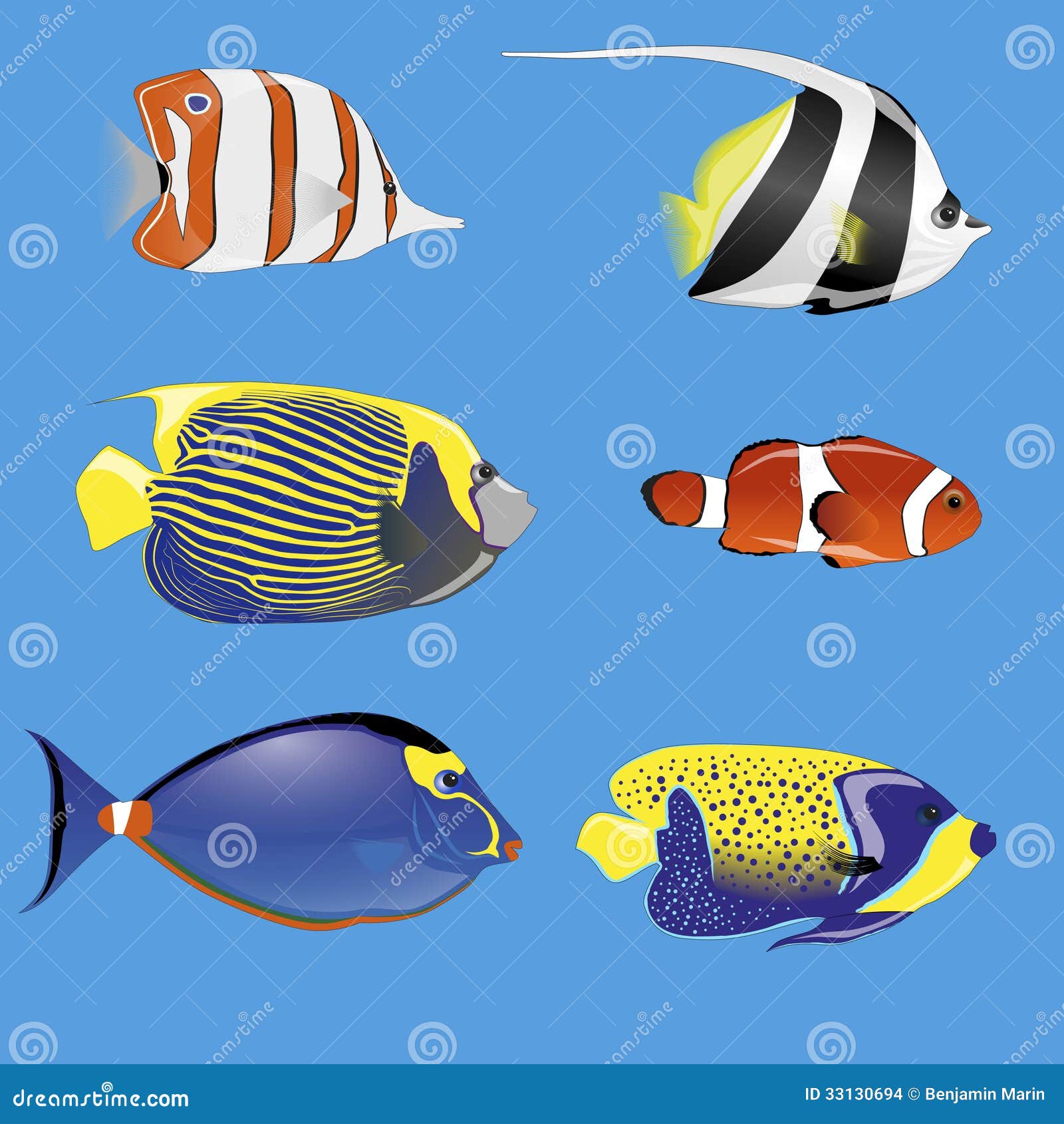 Tropical fishes stock vector. Illustration of water, aquarium - 33130694