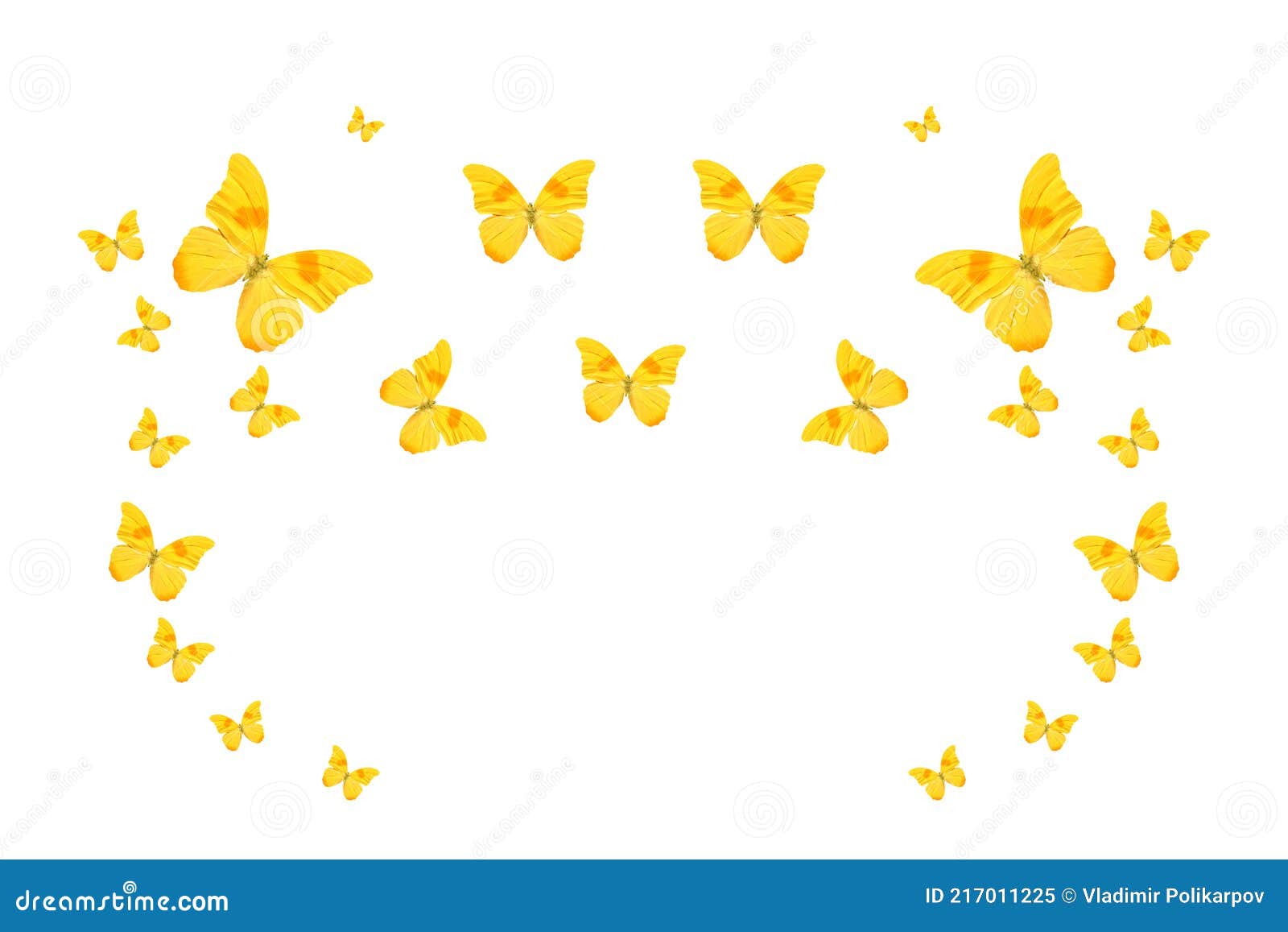 Tropical Flock of Flying Colored Butterflies Isolated on White. Yellow ... Tropical Flock of Flying Colored Butterflies Isolated on White. Yellow ...