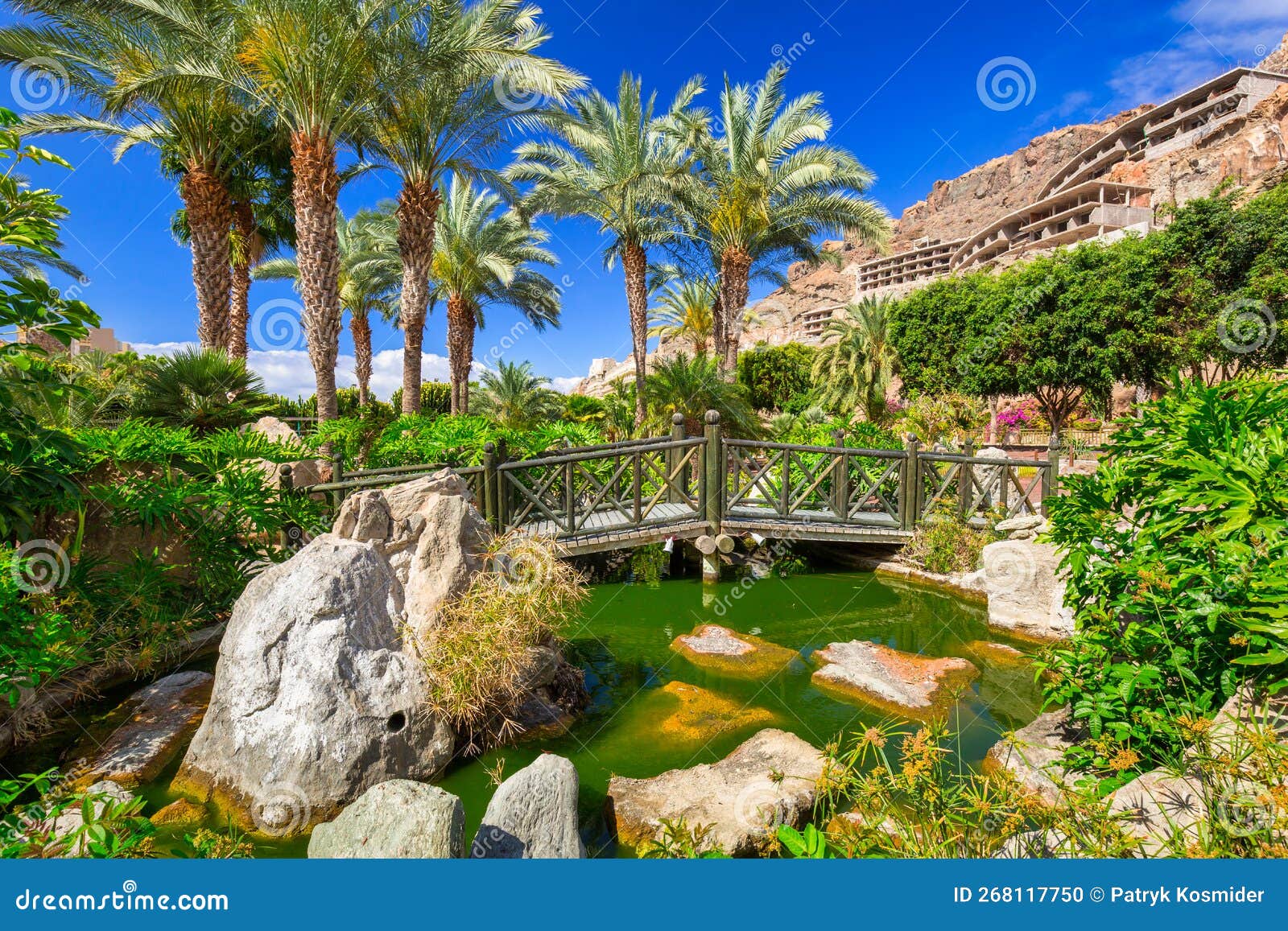 Tropical Flora of Gran Canaria Island, Spain Stock Photo - Image of ...