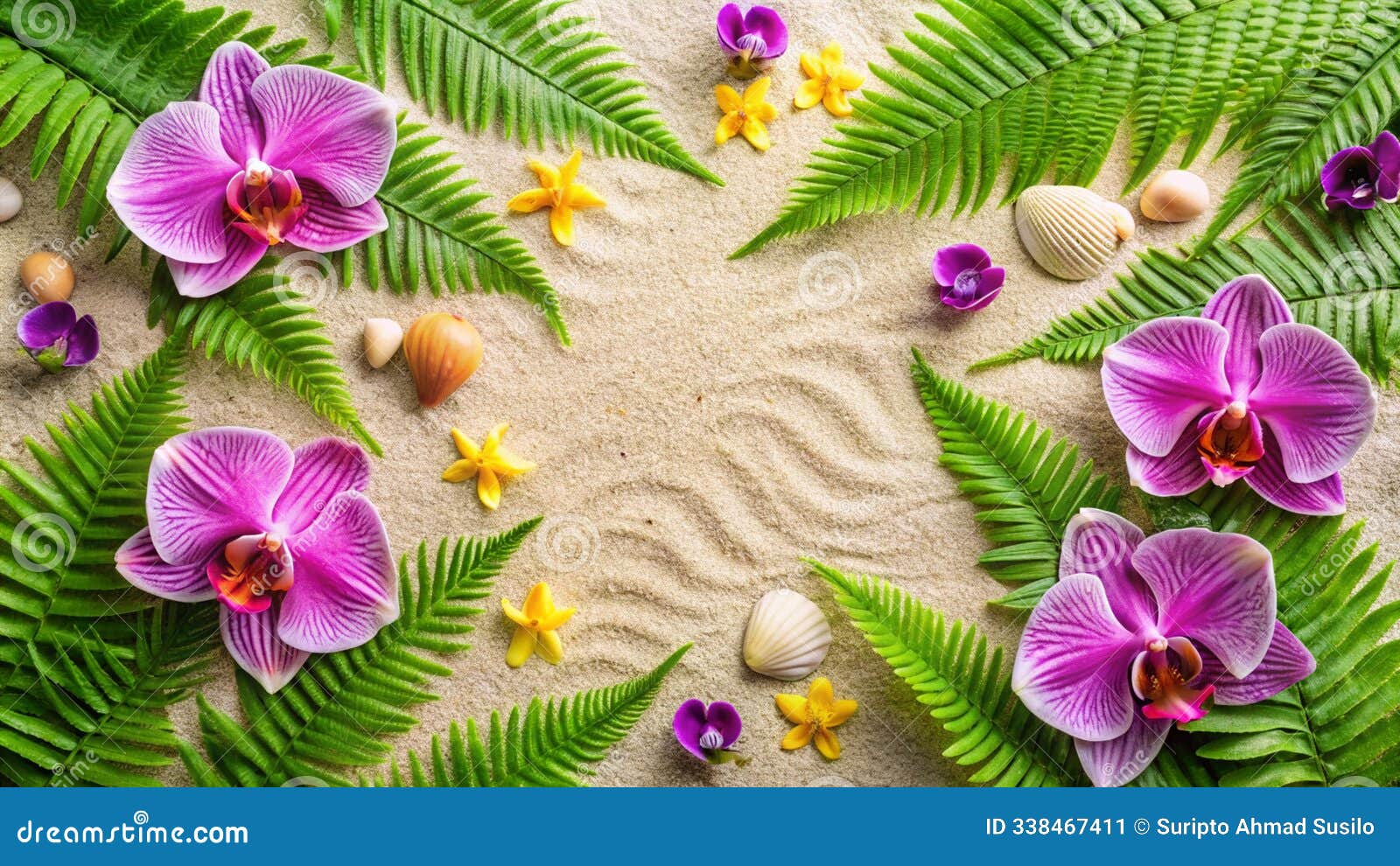 Tropical Floral Border with Ferns and Shells on Sand Stock Image ...