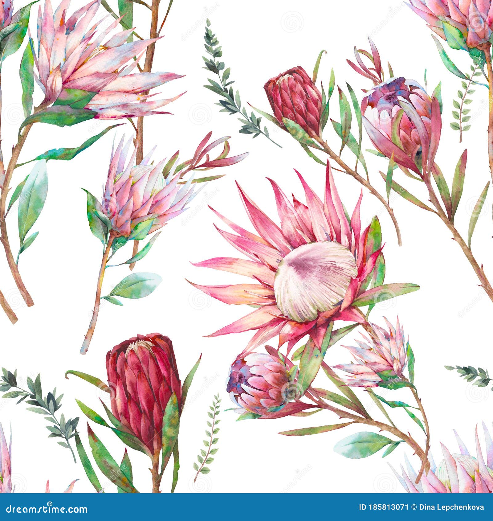 Tropical Floral Seamless Pattern with Proteas Stock Image - Image of ...