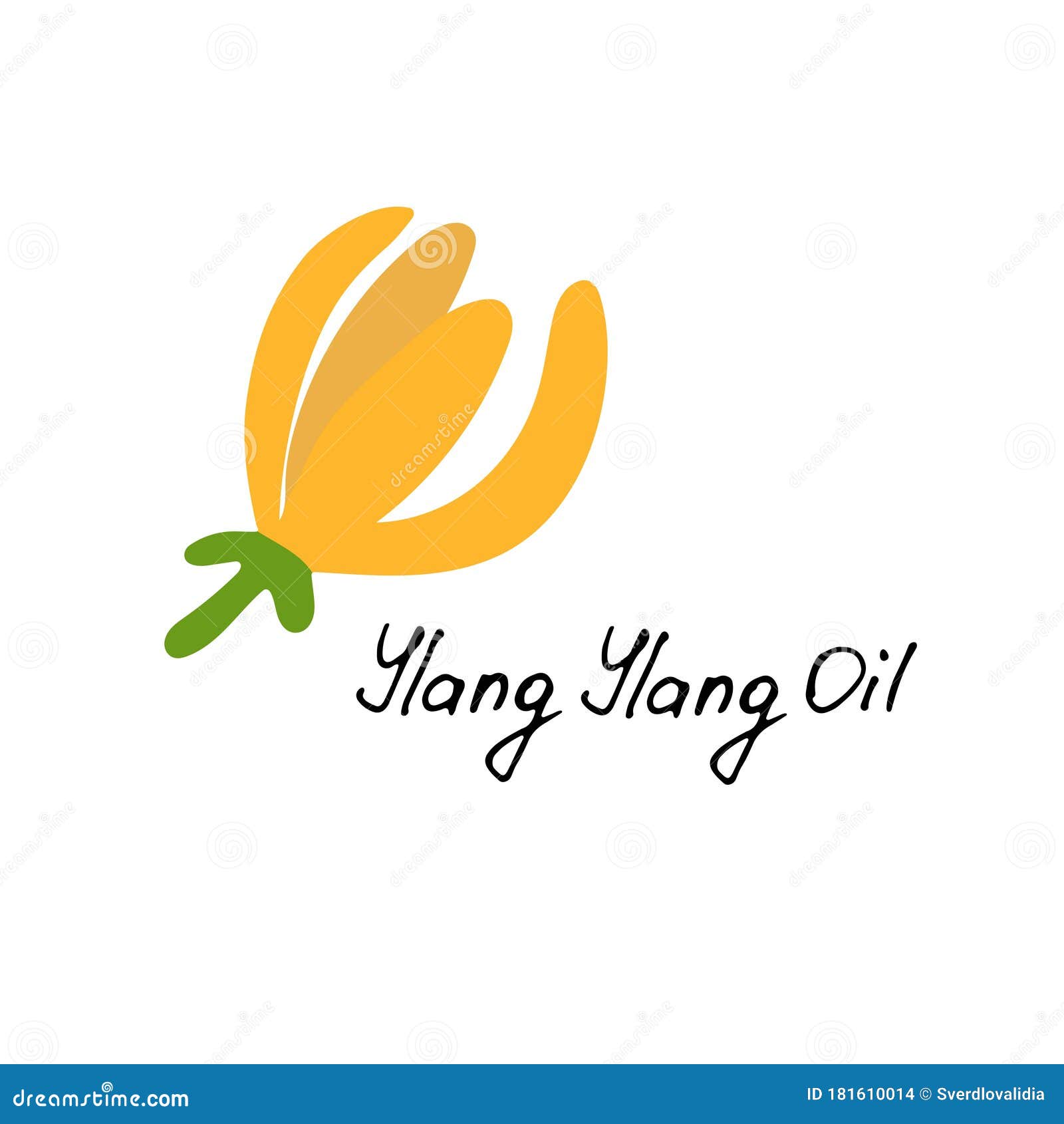 Tropical Flower - Ylang-ylang Cananga. Hand Drawn Element for Print and ...