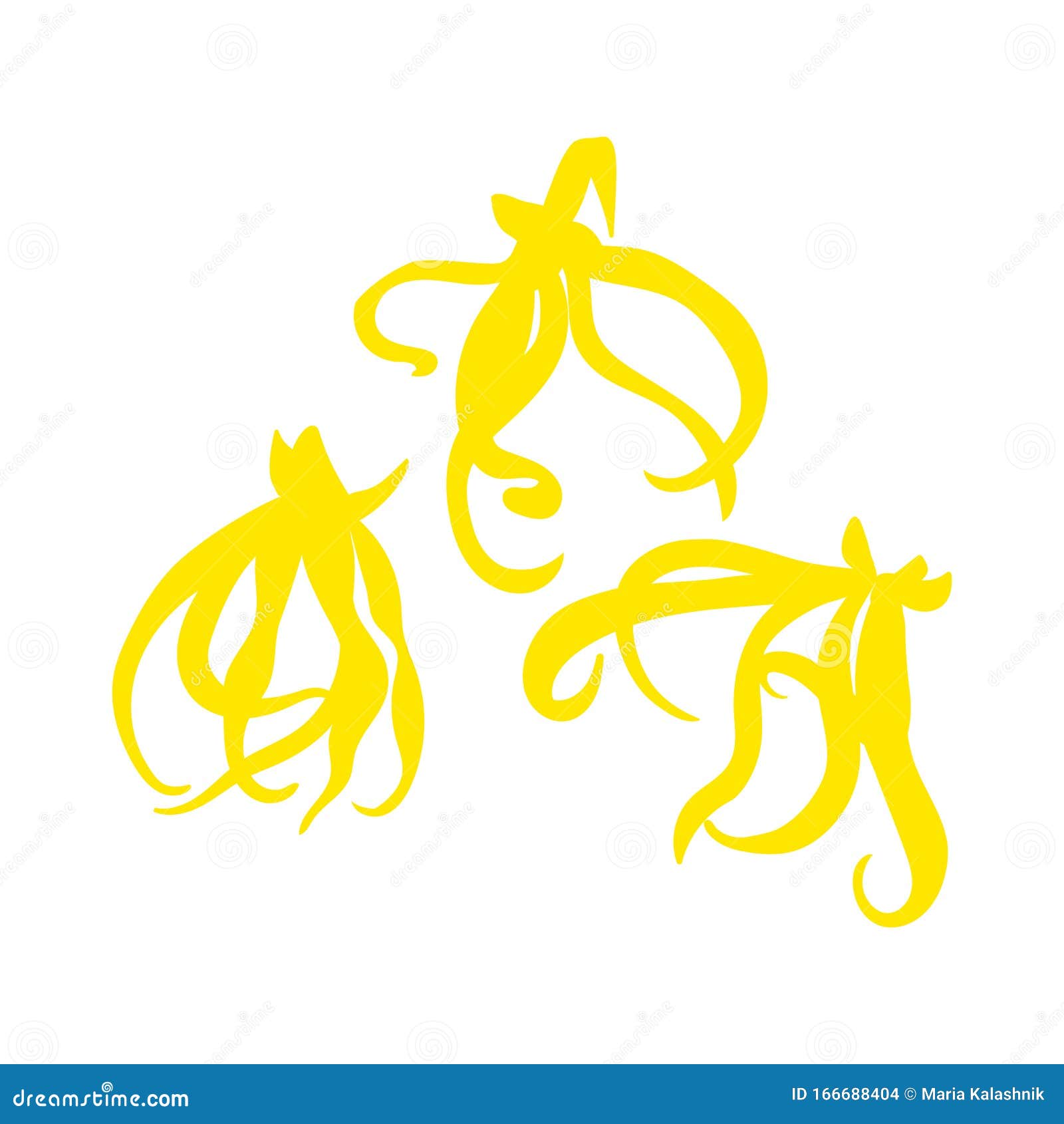 Ylang Ylang Or Cananga Odorata. Yellow Flower With Green Leaves. Vector ...