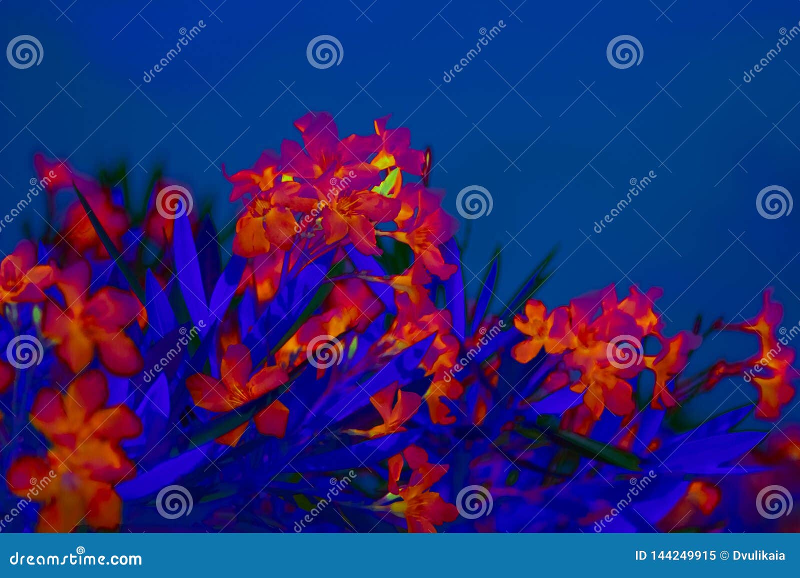 Tropical Flowers in Neon Light Stock Image - Image of abstract, blue ...