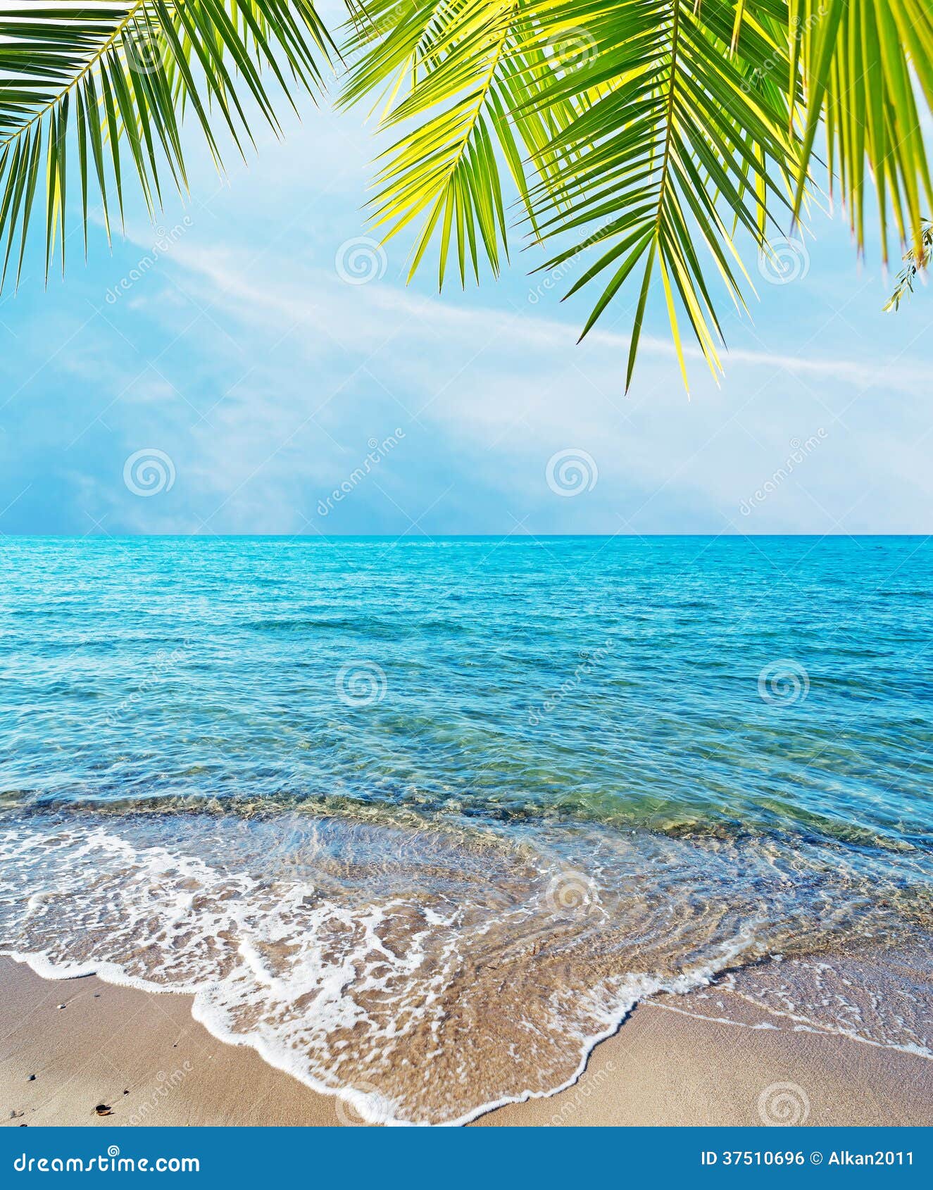 Tropical foreshore stock photo. Image of outdoor, seascape - 37510696