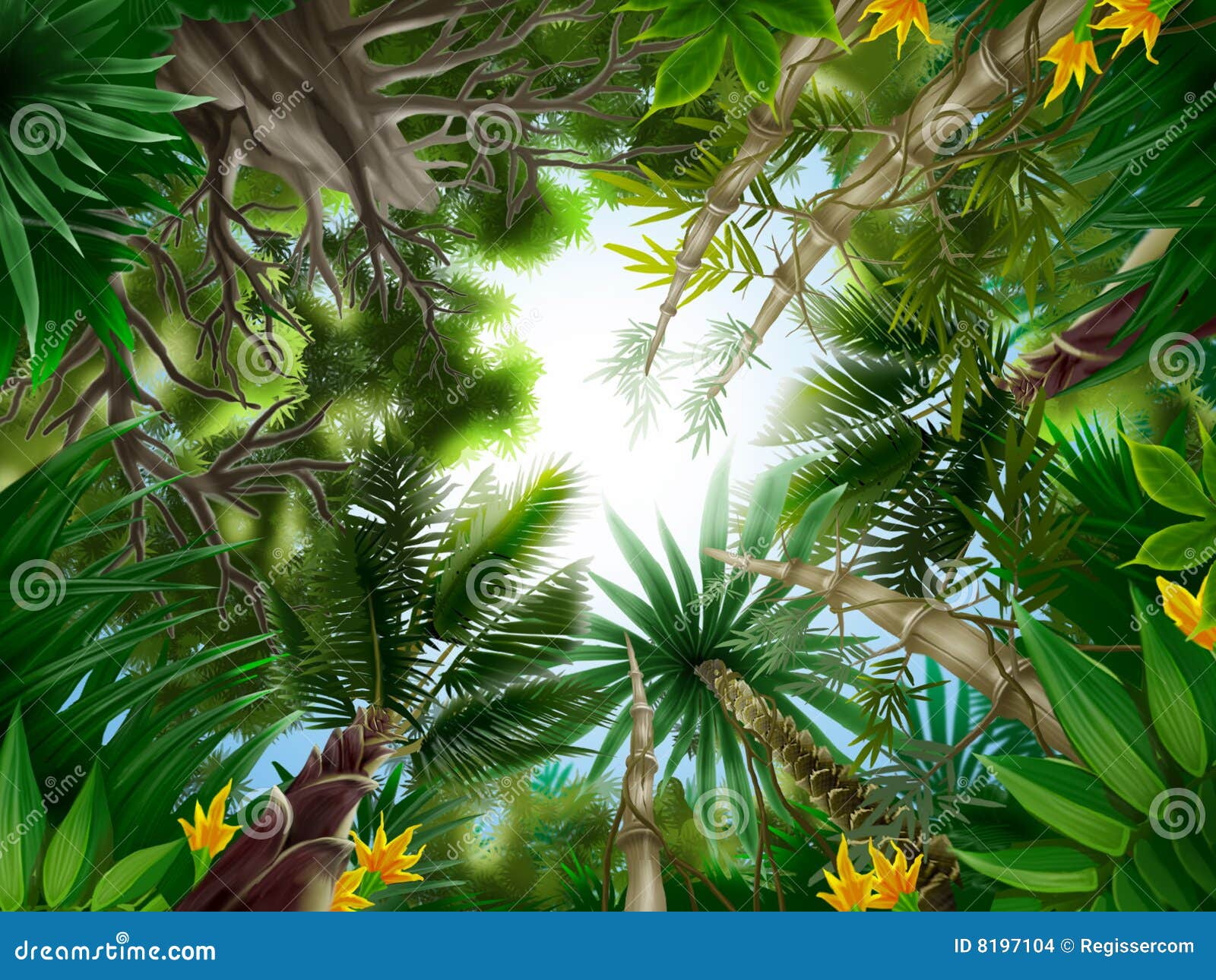 Tropical Forest Vector Illustration. Fairy Tropic Background. Jungle ...