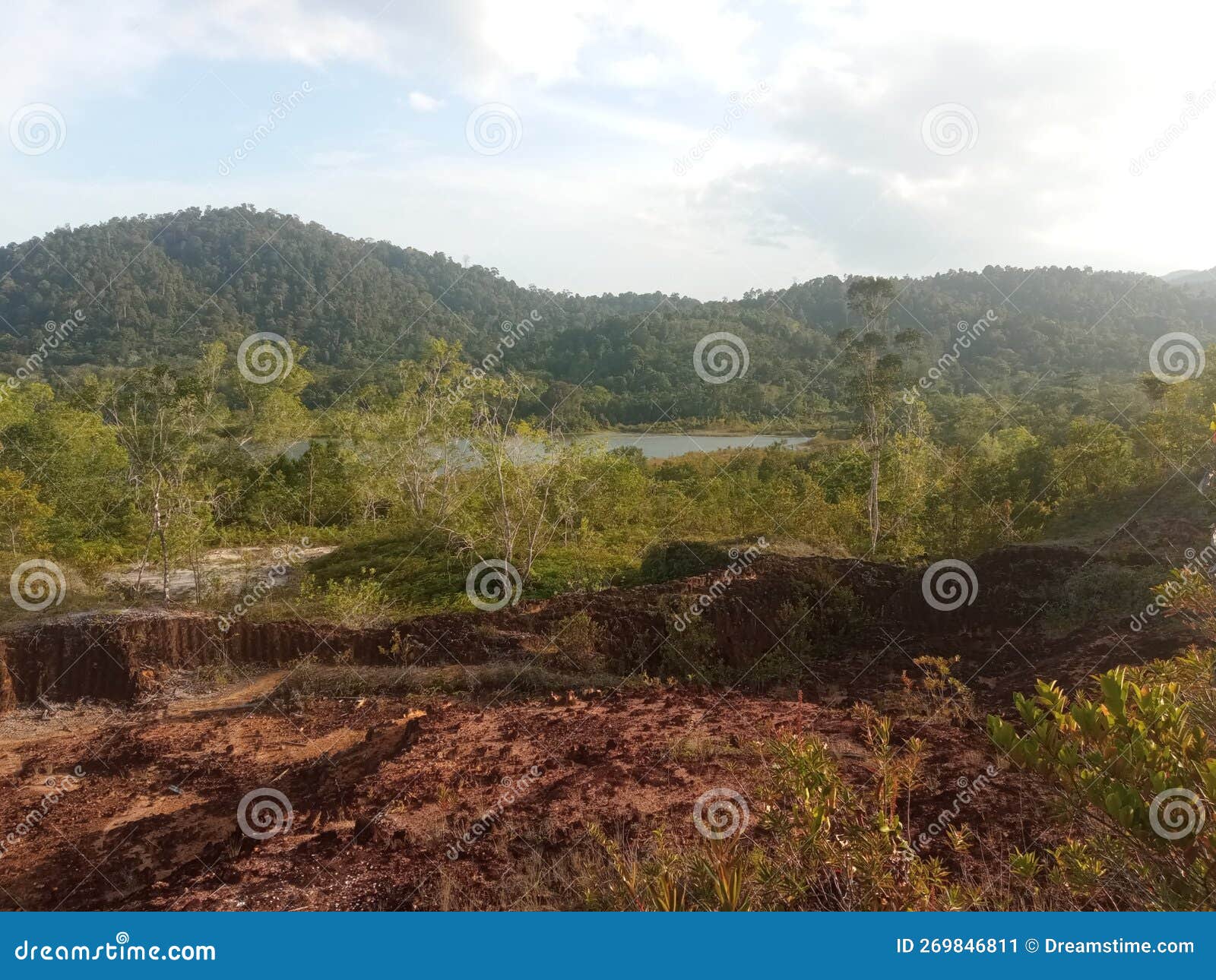 Tropical Forest with Red Sand and the Lake Stock Image - Image of lake ...