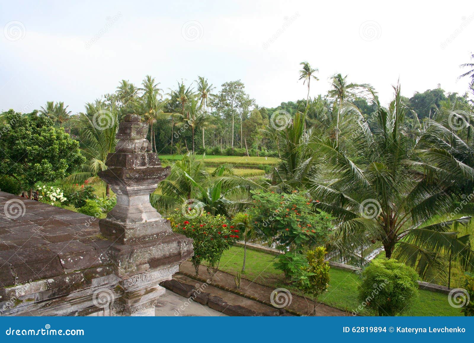 Tropical Forest Segment, East Java, Indonesia Editorial Stock Image ...