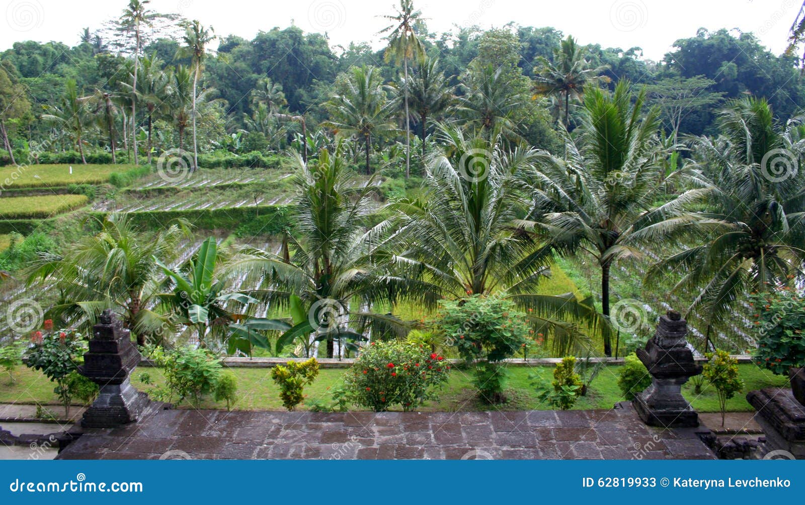 Tropical Forest Segment, East Java, Indonesia Editorial Stock Photo ...