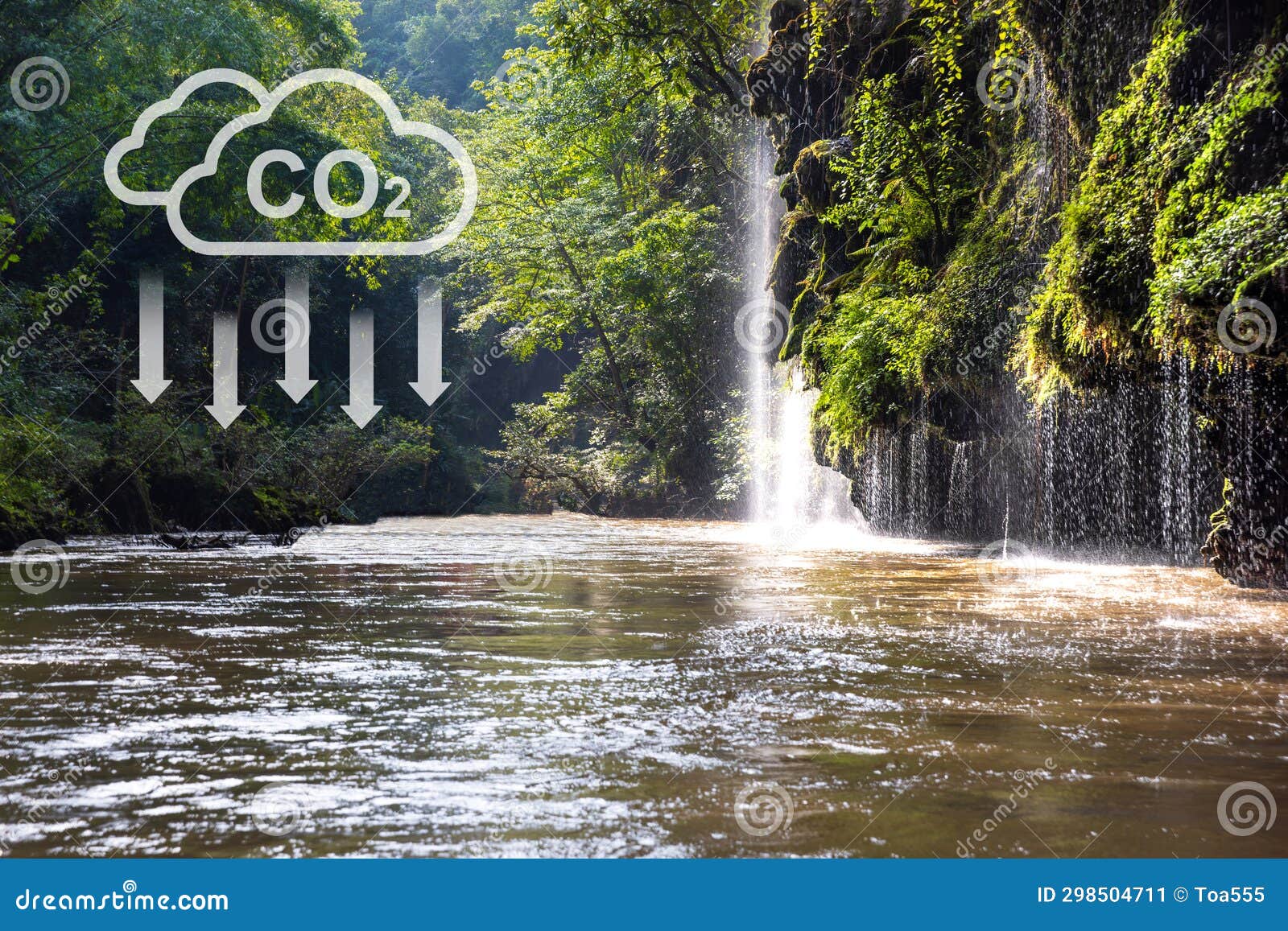 Tropical Forests Can Absorb Large Amounts of Carbon Dioxide from the ...