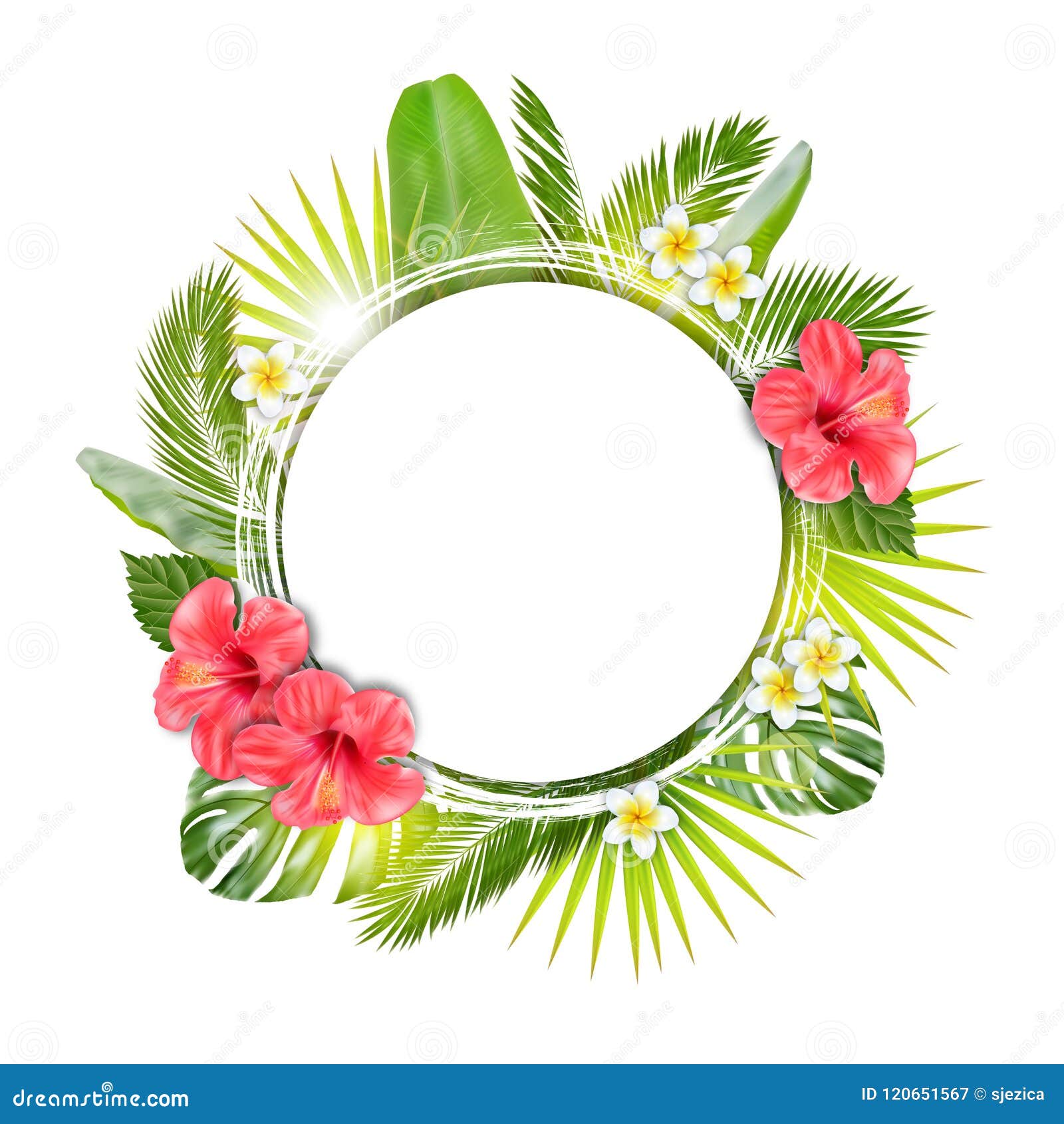 Tropical Frame Border. Vector Stock Illustration - Illustration of ...