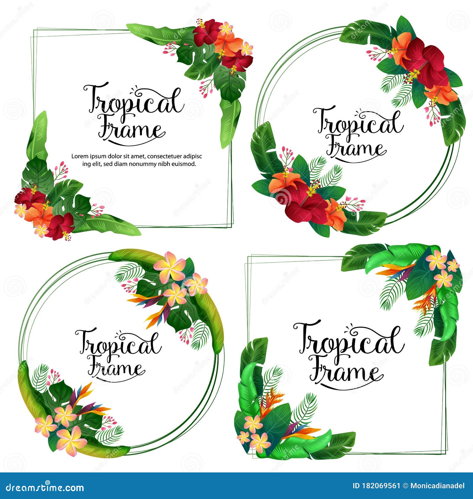 Tropical Frame Hibiscus Frangipani Summer Border Stock Vector ...