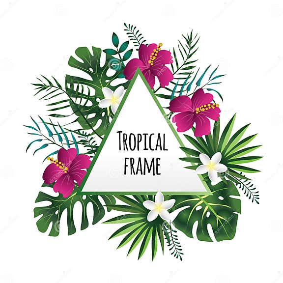 Tropical Frame, Template with Place for Text. Vector Illustration ...