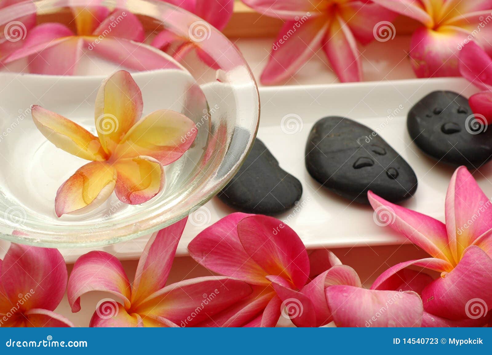 Tropical Frangipani in the Spa Stock Image - Image of hawaii, health ...