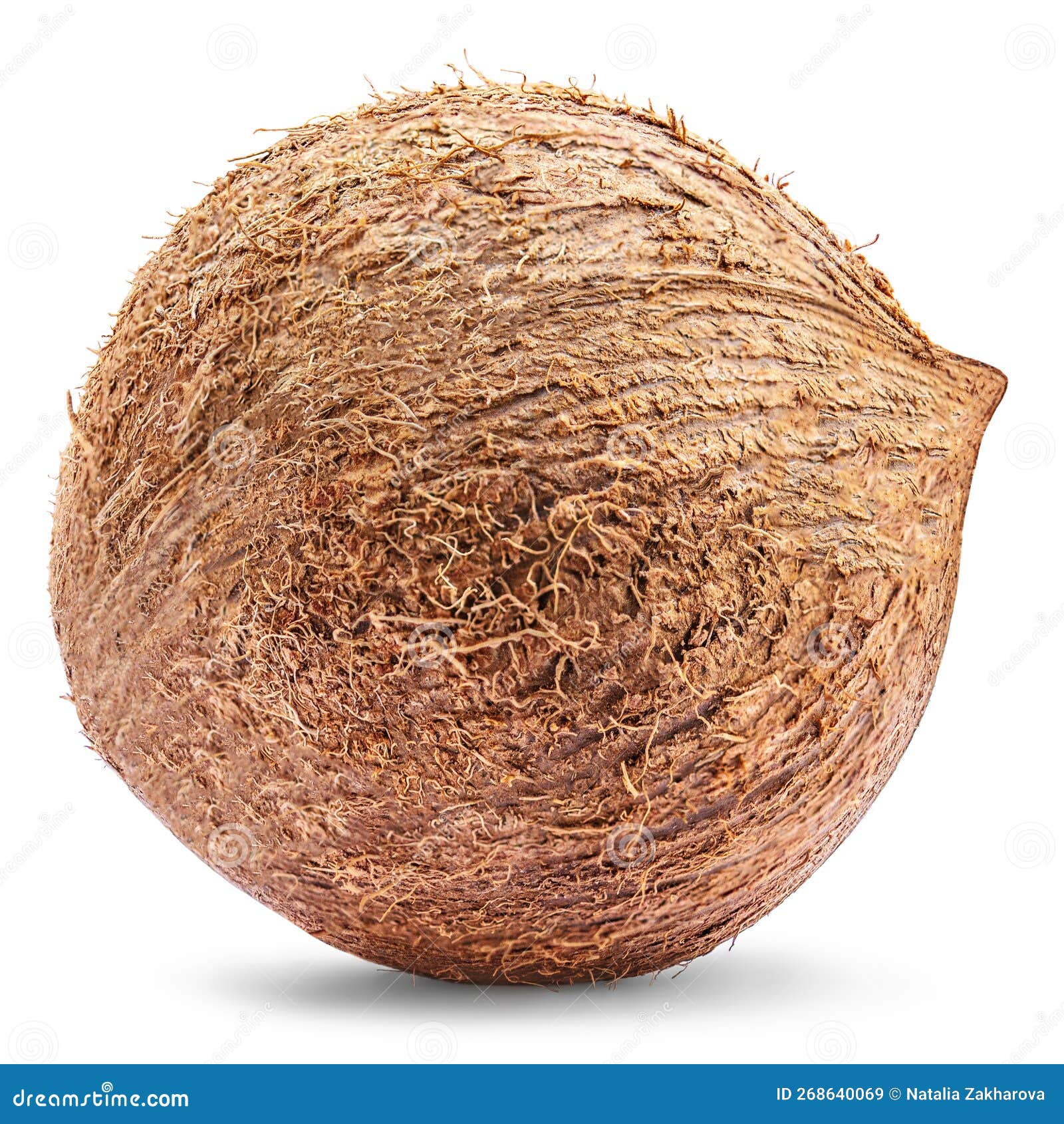 Tropical Fruit Coconut Isolated on White Background. Whole Coconut ...