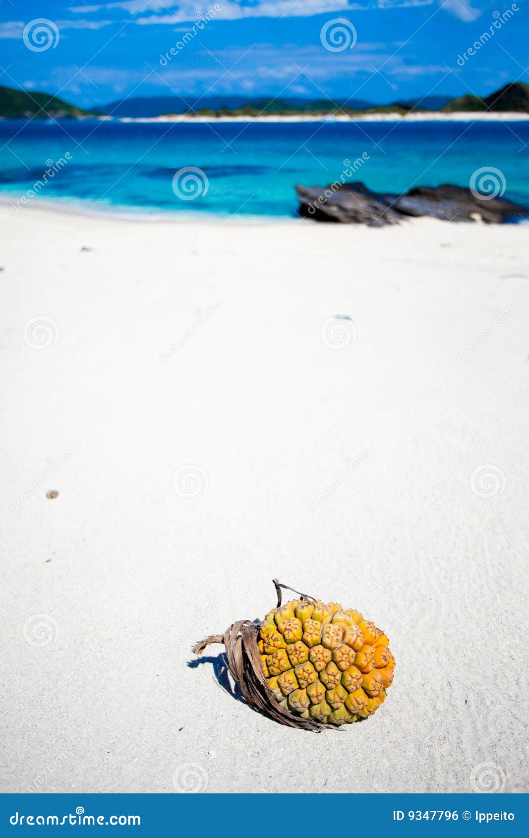 Tropical Fruit on the Deserted White Beach Stock Photo - Image of ocean ...