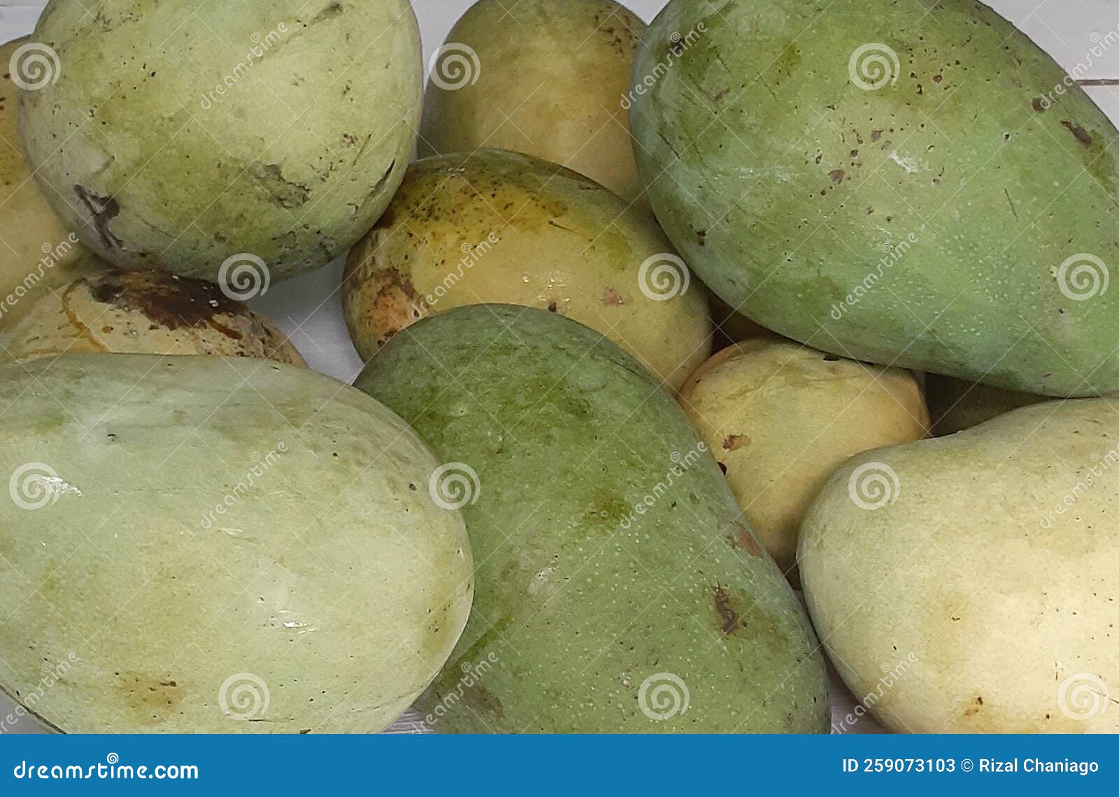 Tropical Fruit. Group Mango with Various Kinds and Skins Color Stock ...