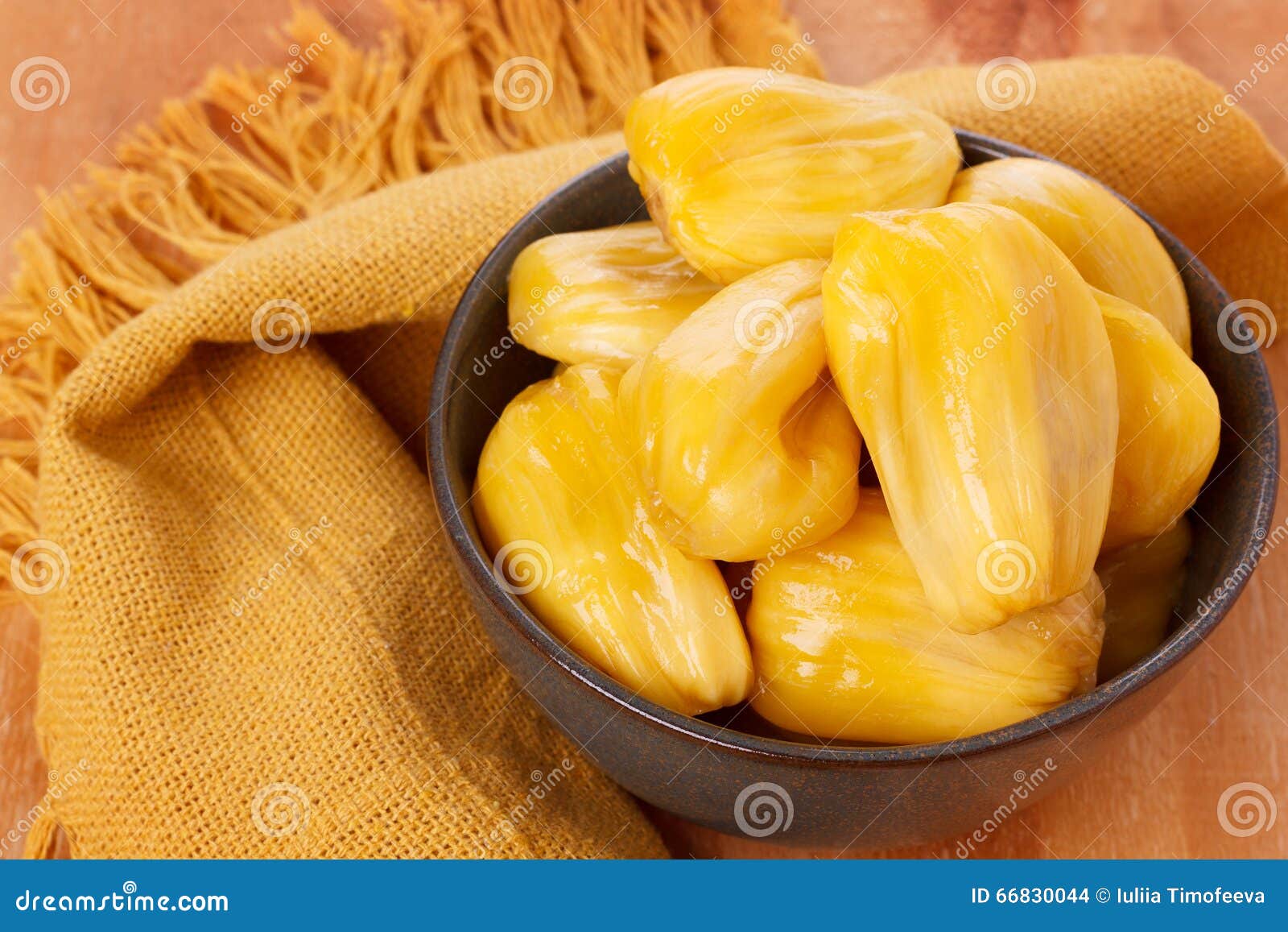 Fruit Jackfruit, Small Jackfruit On Jackfruit Tree Royalty-Free Stock ...