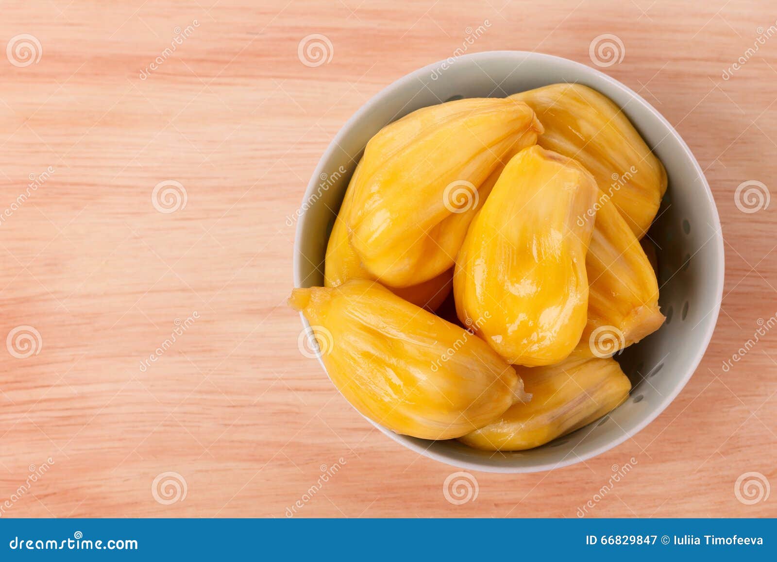 Fruit Jackfruit, Small Jackfruit On Jackfruit Tree Royalty-Free Stock ...
