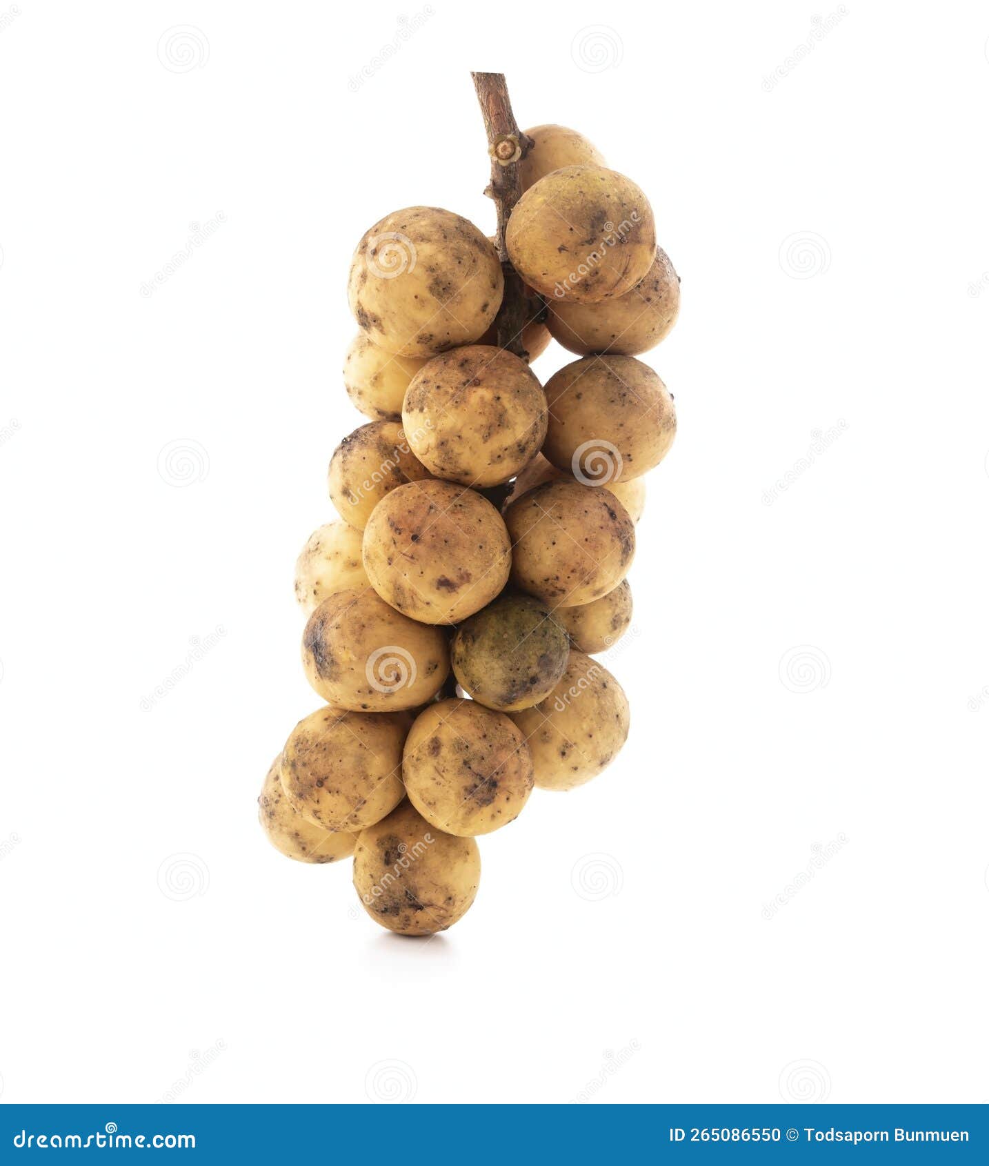 Tropical Fruit Longkong Isolated on White Background Stock Photo ...