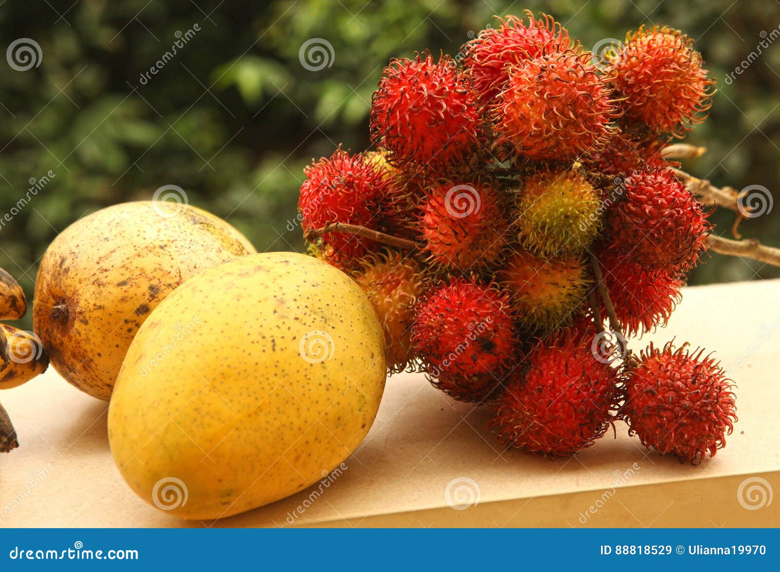 Tropical Fruit Rambutan and Mango Close Up Stock Image - Image of mango ...